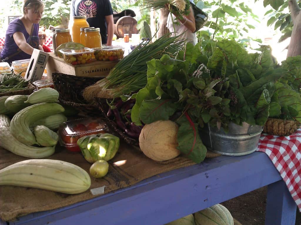 Things to Do in Scottsdale AZ: Visit Singh Farms